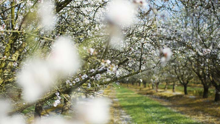 Three Seasonal Haibun | U n b r o k e n