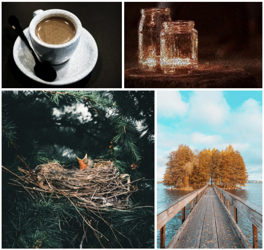 Issue #39 | U n b r o k e n